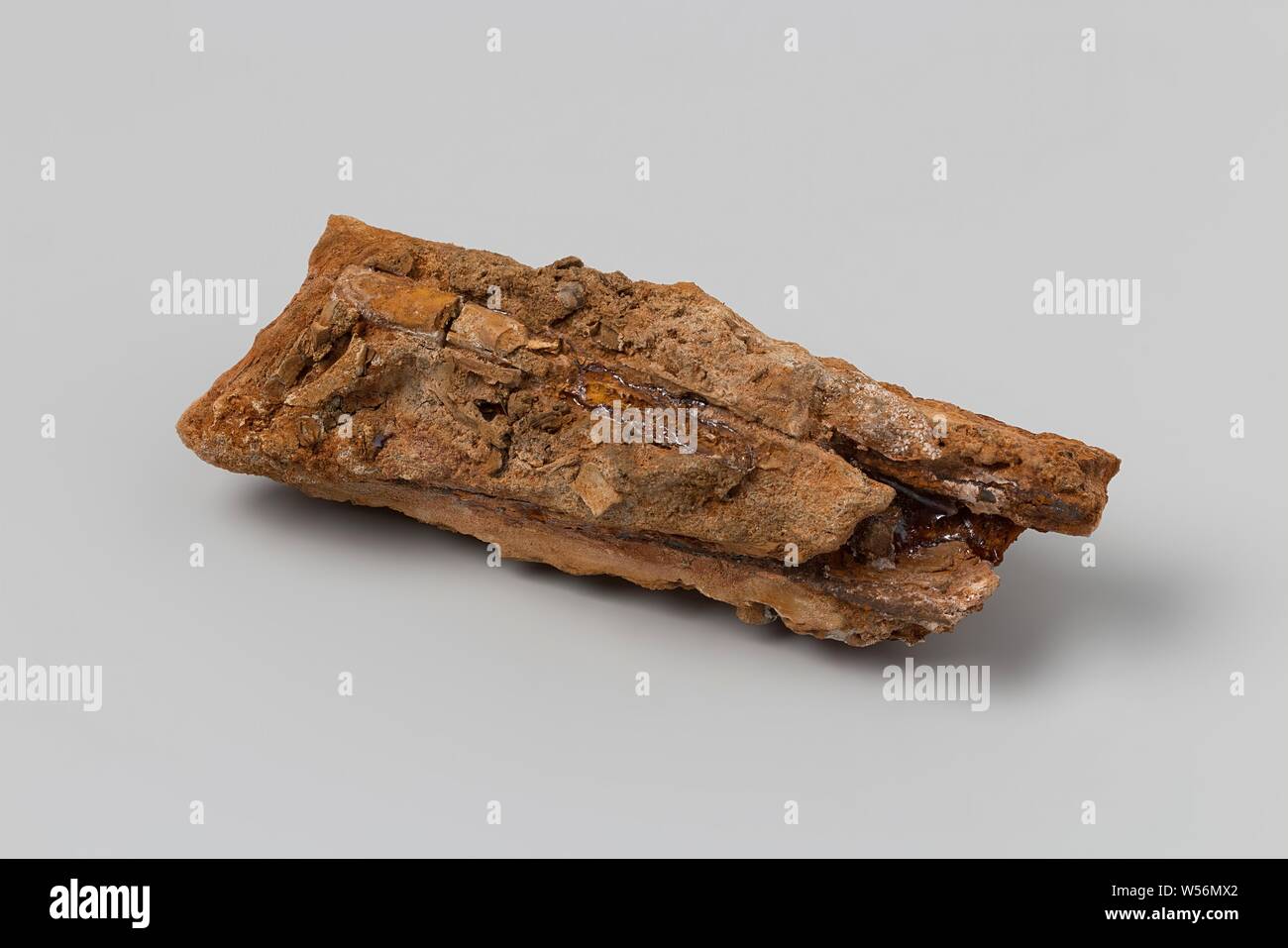 Gray brown concretion hi-res stock photography and images - Alamy