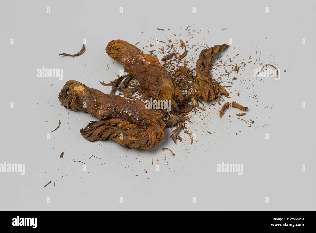 Shipwreck Poop