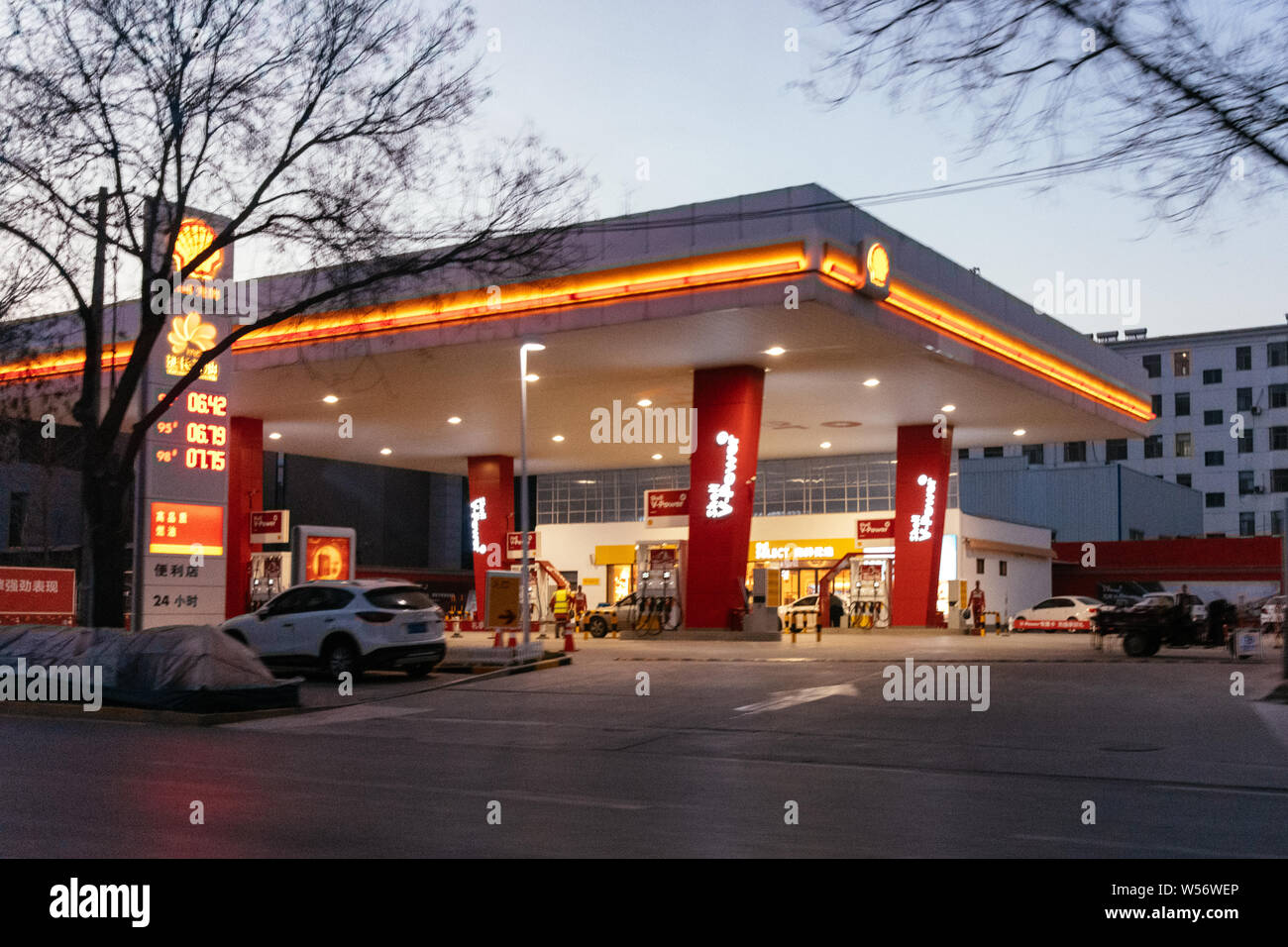 File shell hi-res stock photography and images - Alamy