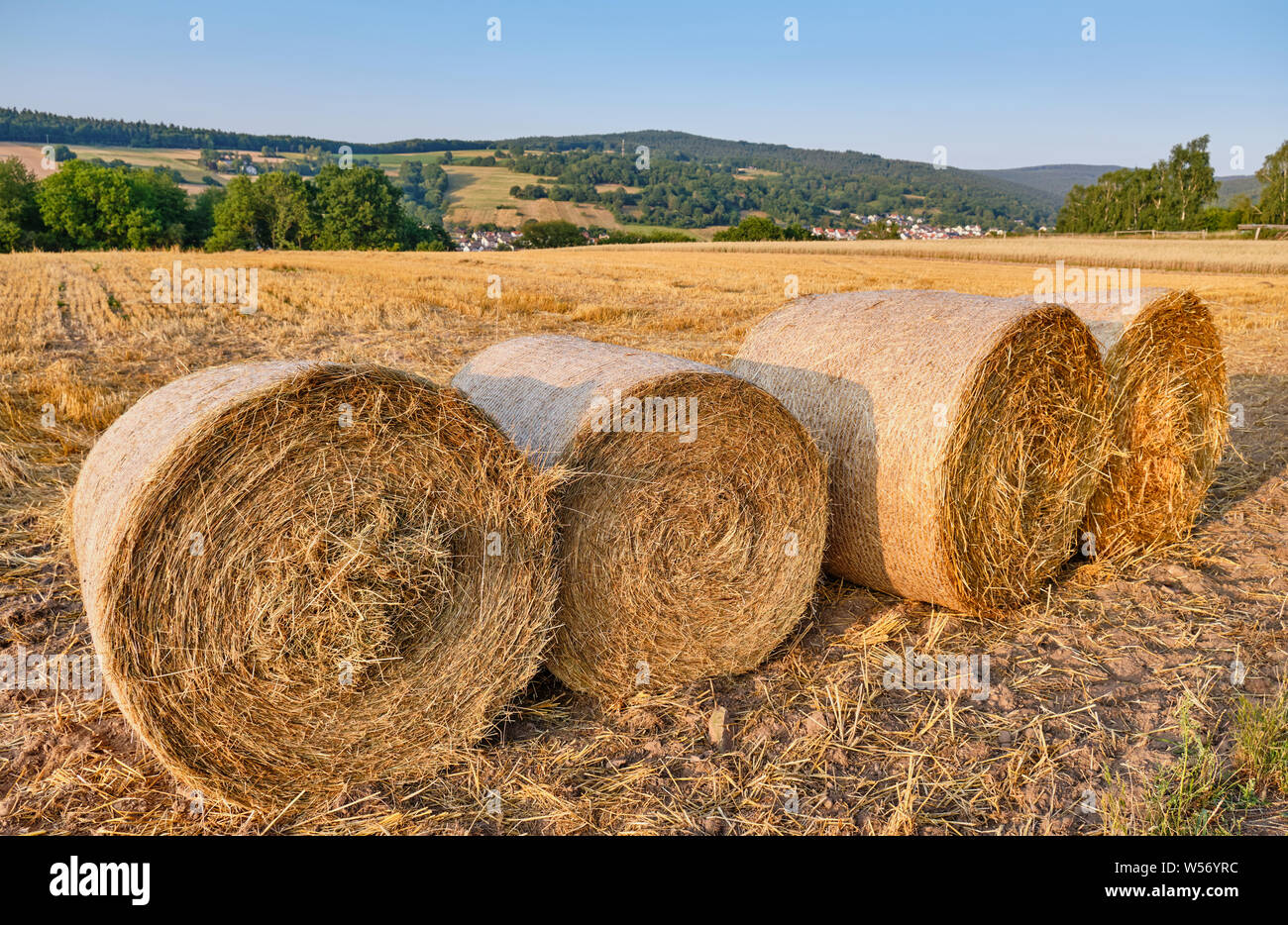 Four hay bales lying on a cut agricultural field in July in a beautiful ...