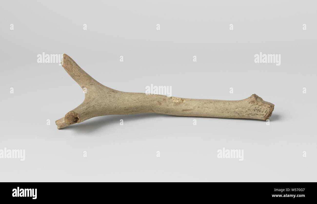 Broken antler hi-res stock photography and images - Alamy