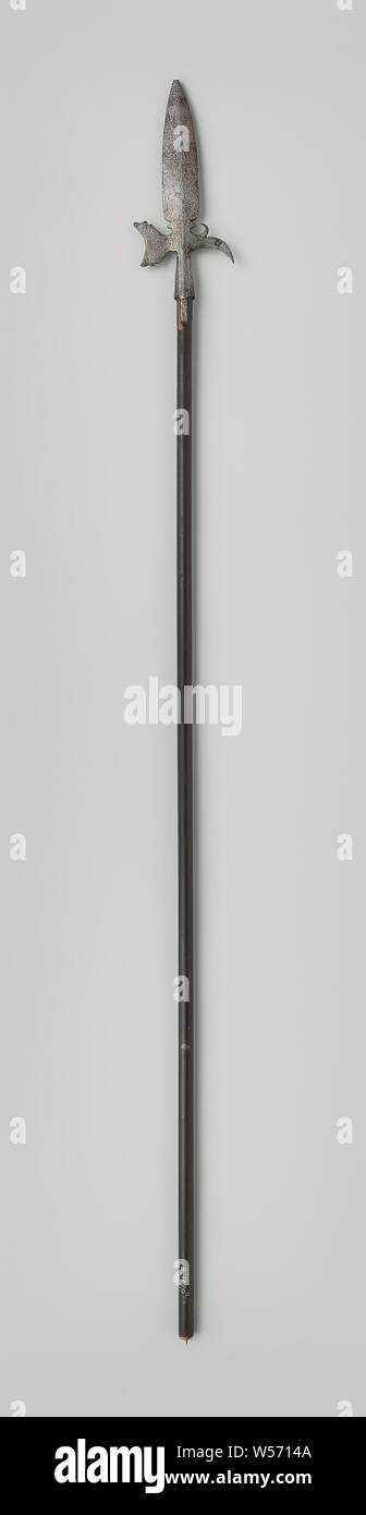 Wide central bone hi-res stock photography and images - Alamy