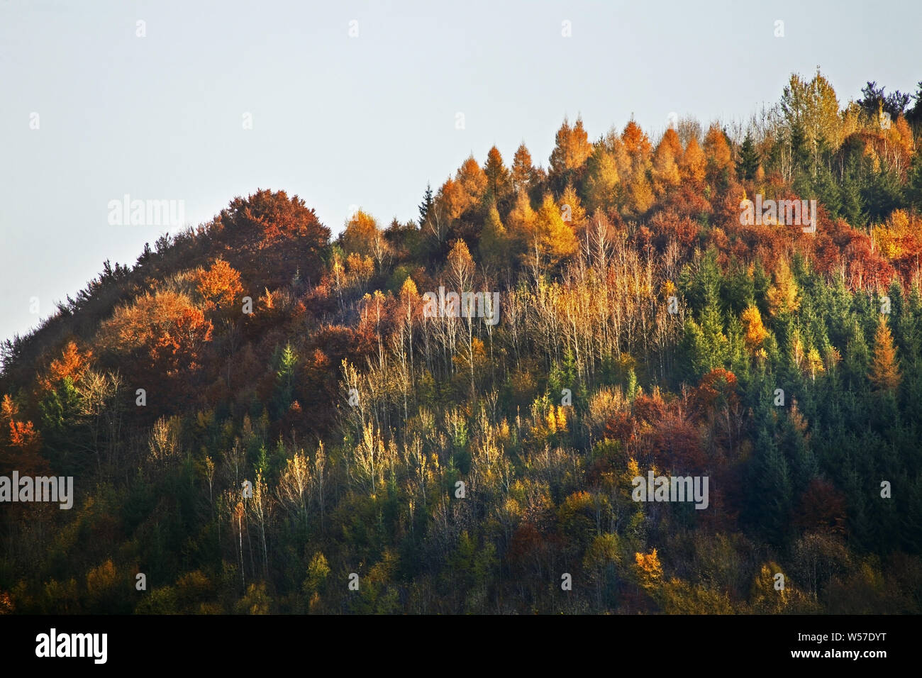 Zilina region hi-res stock photography and images - Alamy