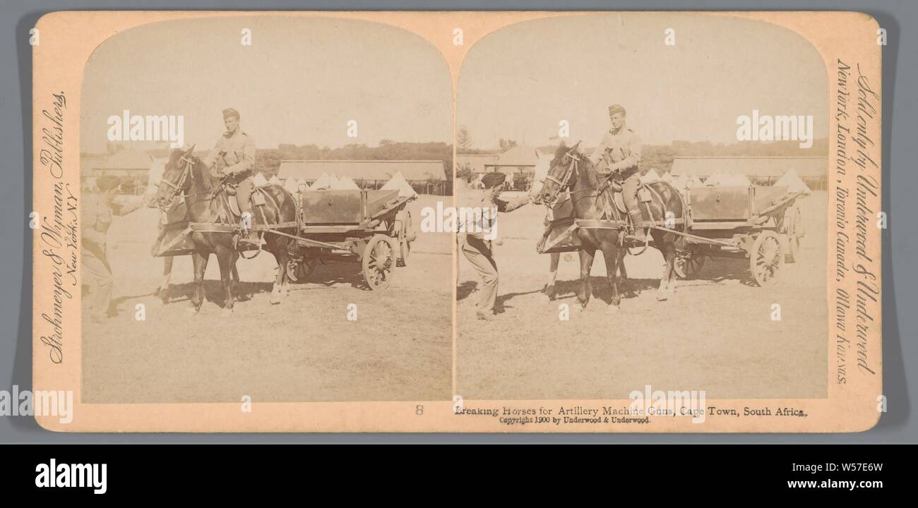 Breaking Horses for Artillery Machine Guns, Cape Town, South Africa ...