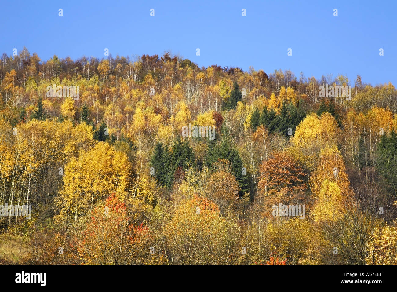 Landscape near Kralovany. Zilina Region. Slovakia Stock Photo - Alamy