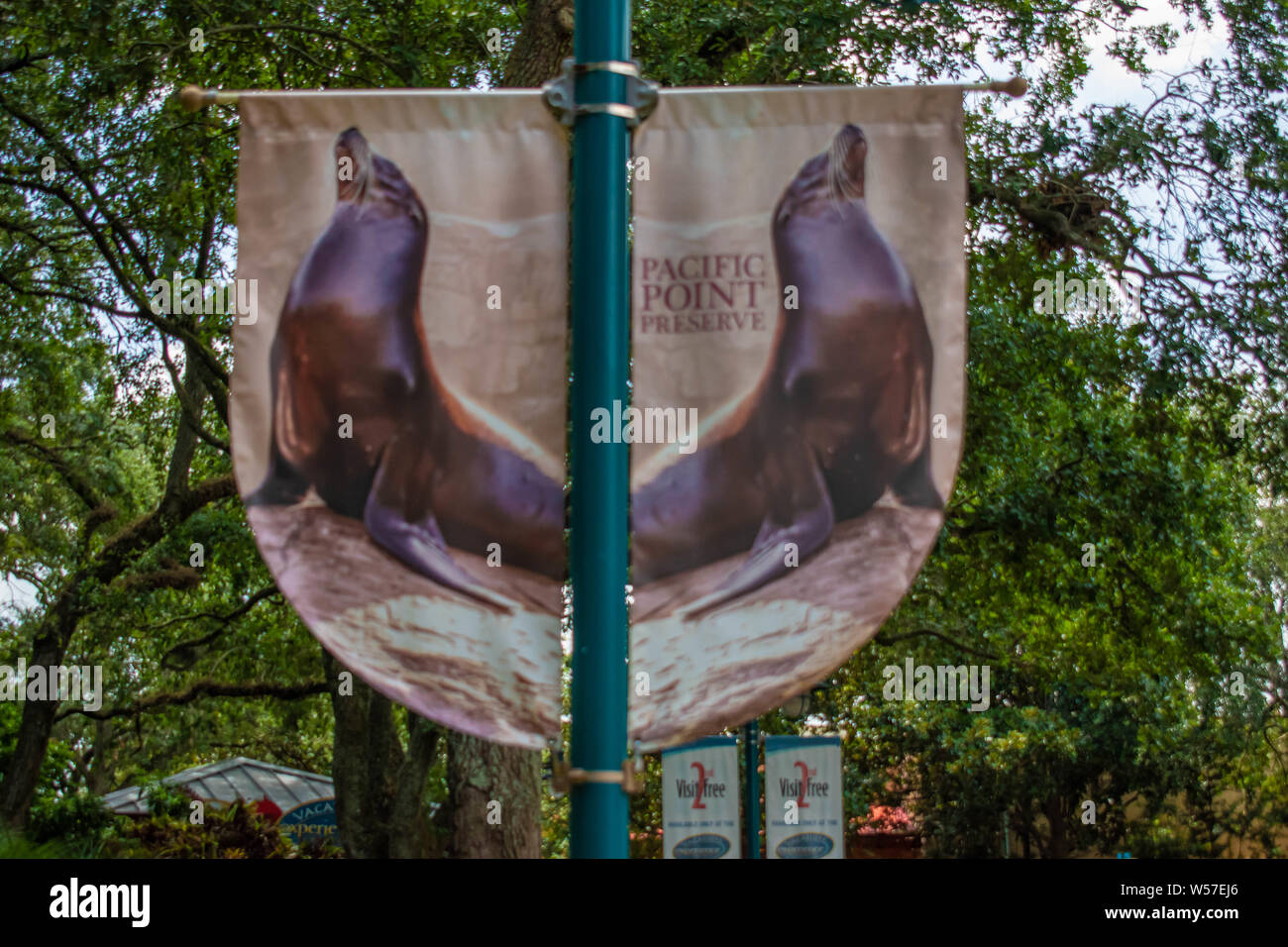 Orlando, Florida. July 18, 2019. Sea Lions Pacific Point Preserve sign ...