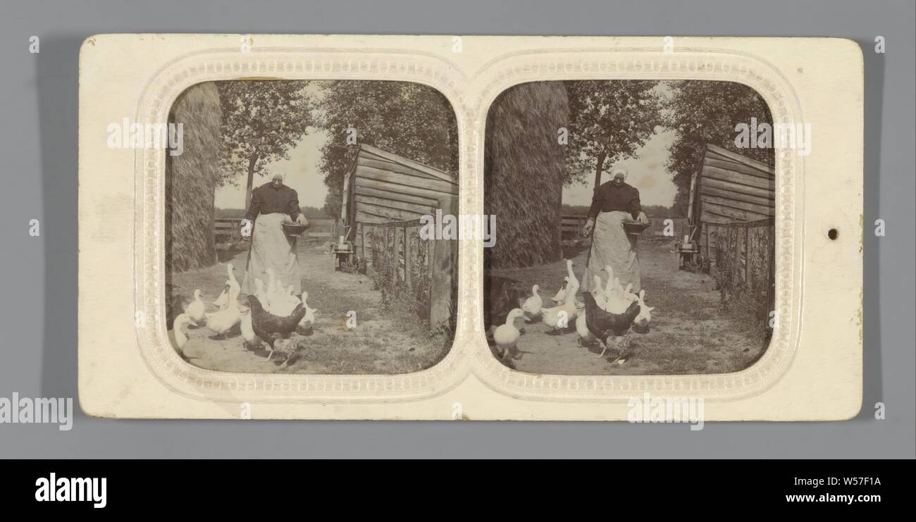 Farmer is feeding geese, anonymous, 1860 - 1920 Stock Photo - Alamy