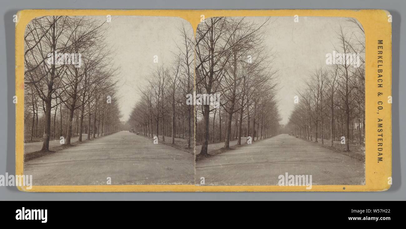Avenue in the Vondelpark, Amsterdam, Johannes W. Merkelbach & Co, 1880 ...