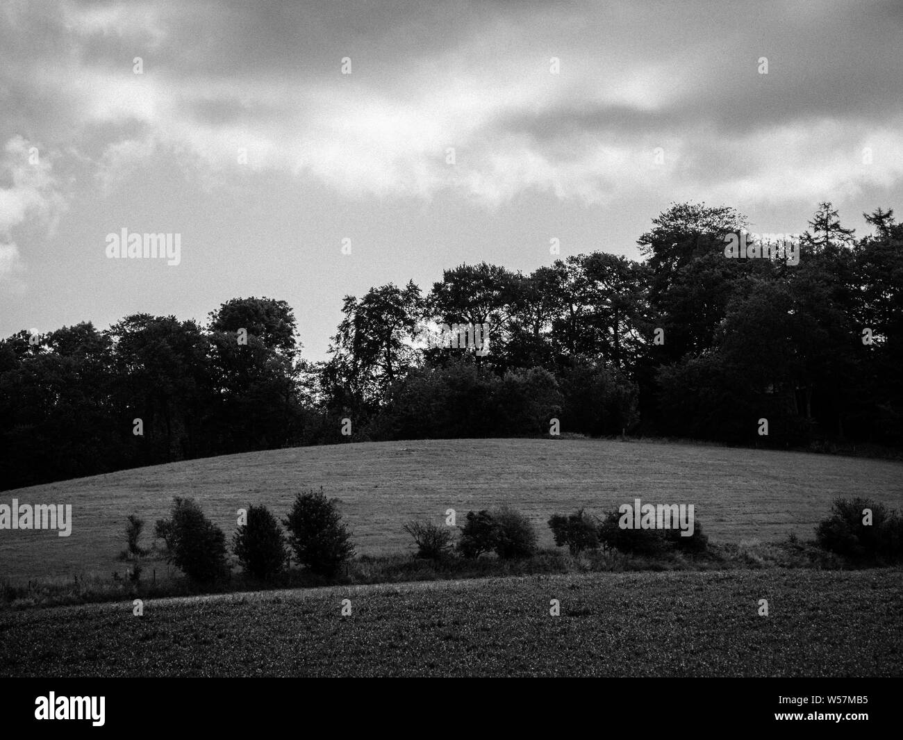 The Chiltern Hills, Rural Landscape, Oxfordshire, England, UK, GB Stock ...