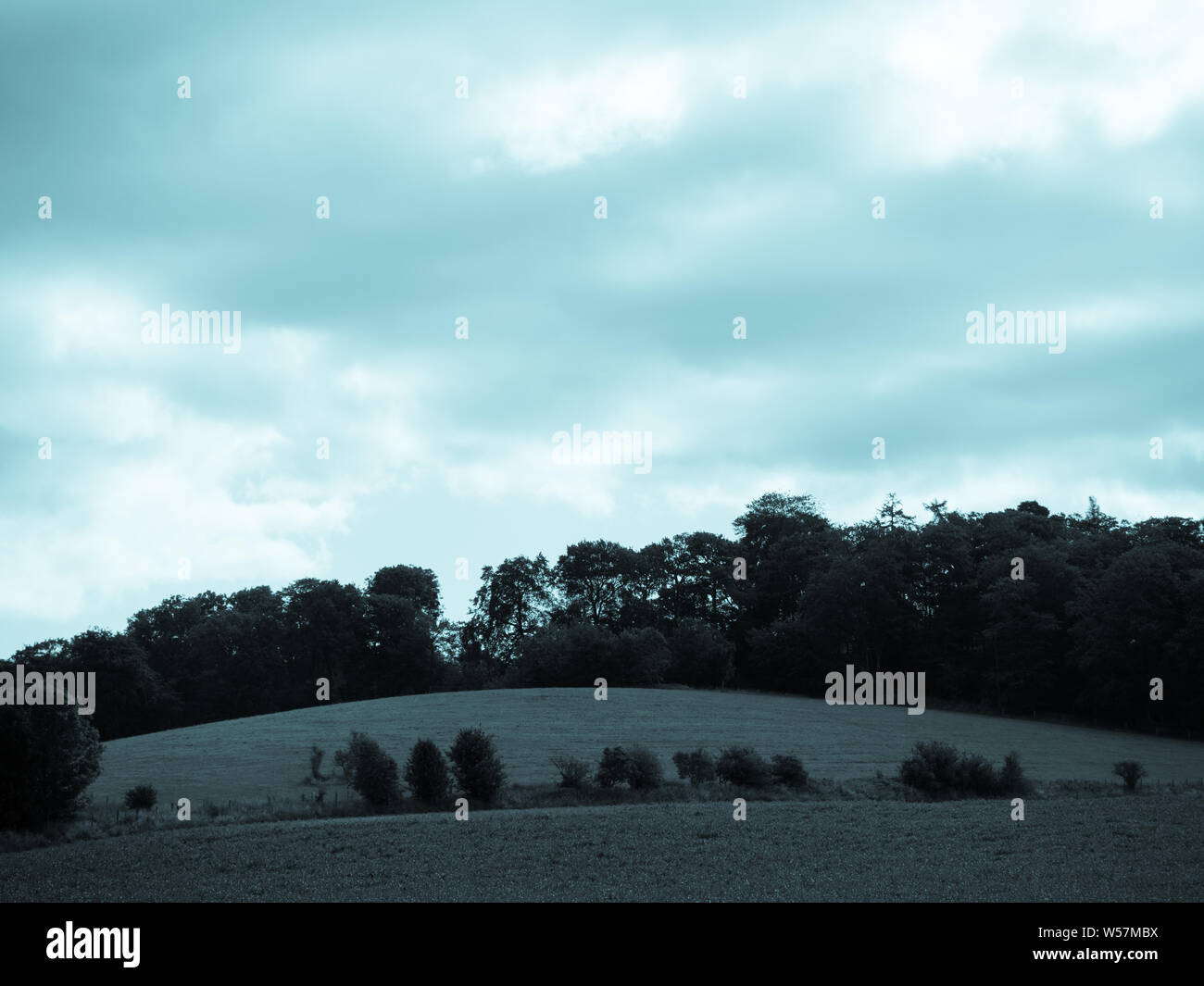 The Chiltern Hills, Rural Landscape, Oxfordshire, England, UK, GB Stock ...