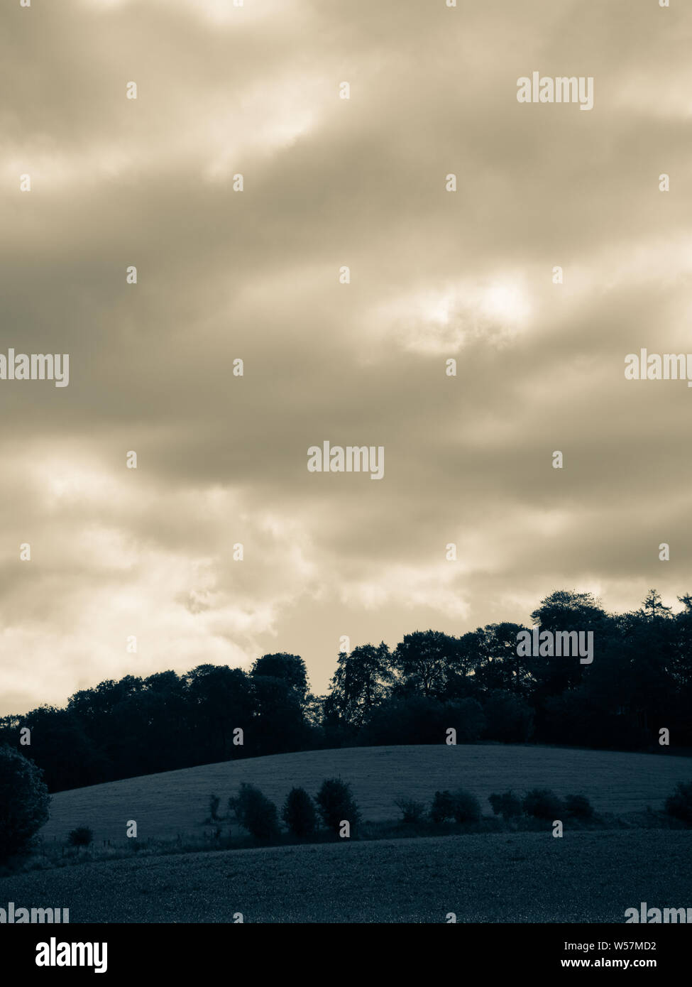 The Chiltern Hills, Rural Landscape, Oxfordshire, England, UK, GB Stock ...
