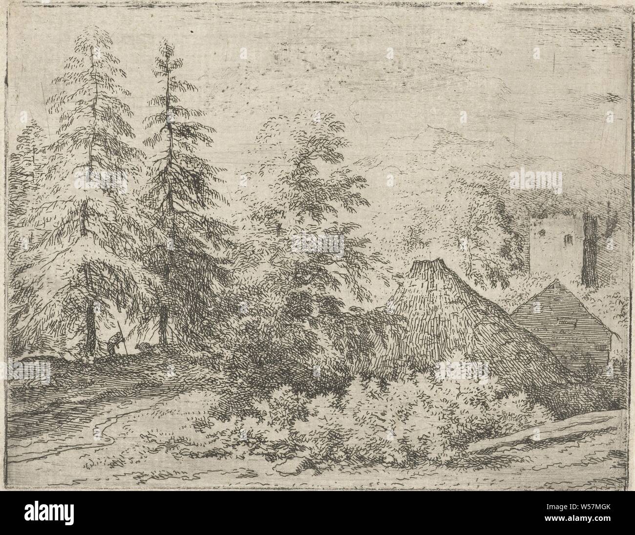 Two tall fir trees hi-res stock photography and images - Alamy