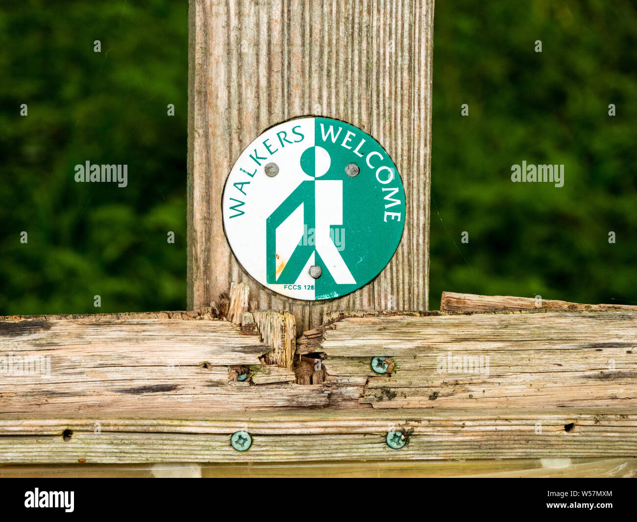 Walkers Welcome Logo Alan Walker Welcome To Walker World (Lyric