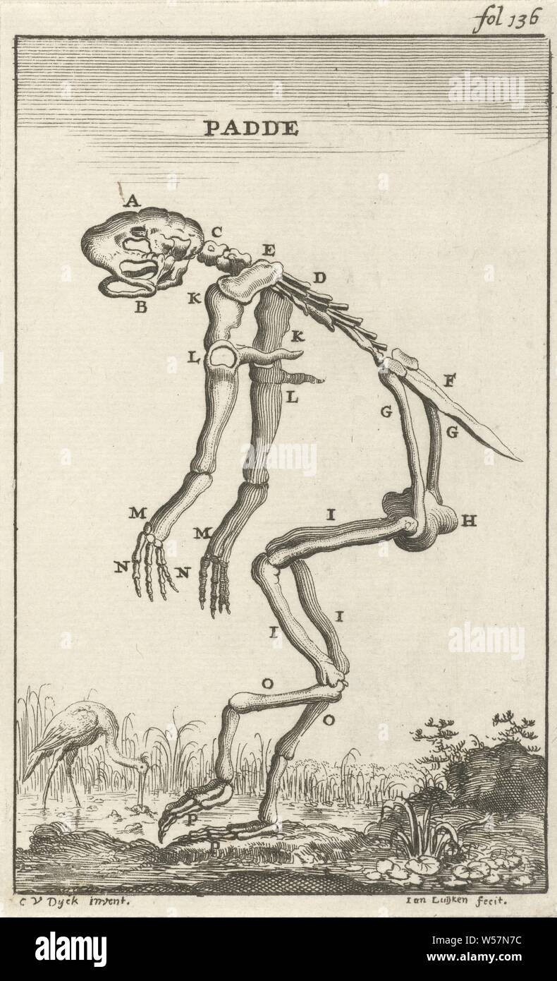 Frame of a toad Padde (title on object), Print upper right marked: fol ...