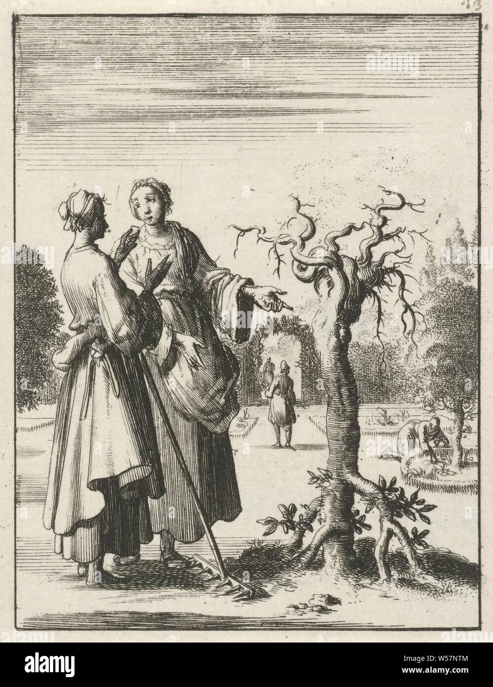 Etching tree roots hi-res stock photography and images - Alamy