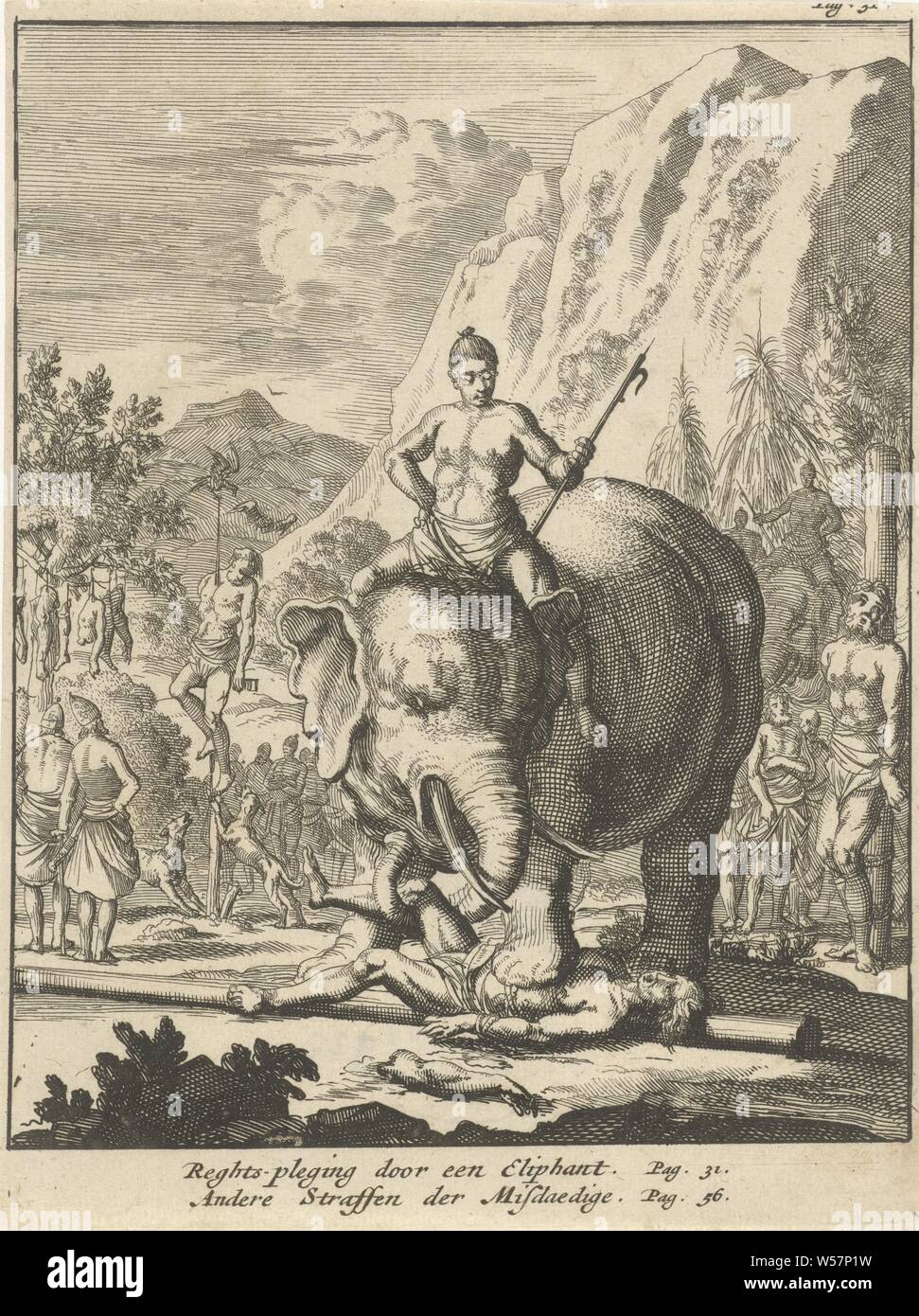 Elephant death not dead hi-res stock photography and images - Alamy