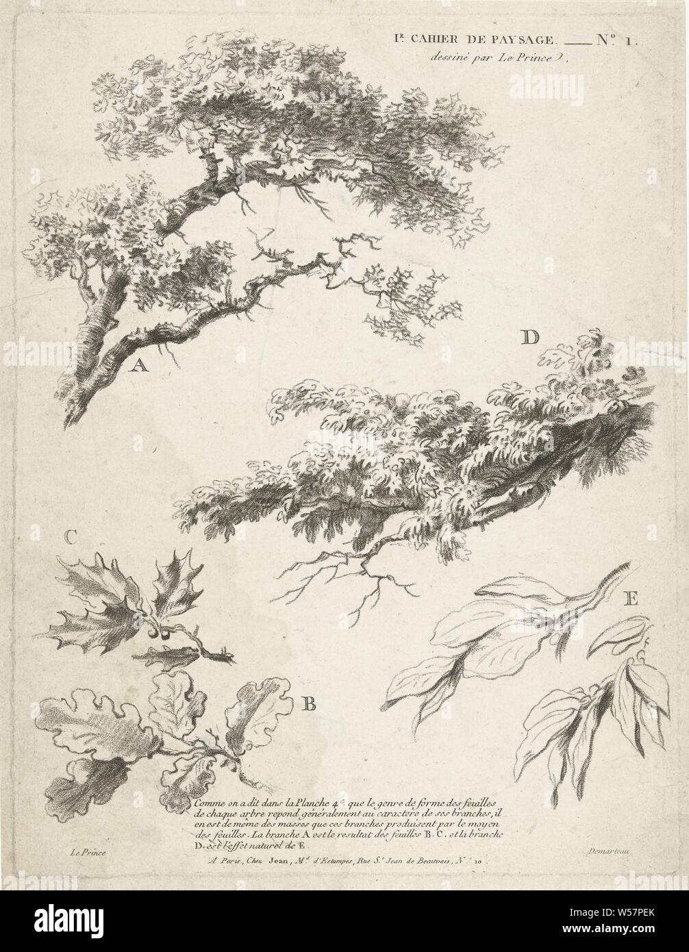 Study of branches with leaves 1er Cahier de paysage (series title ...