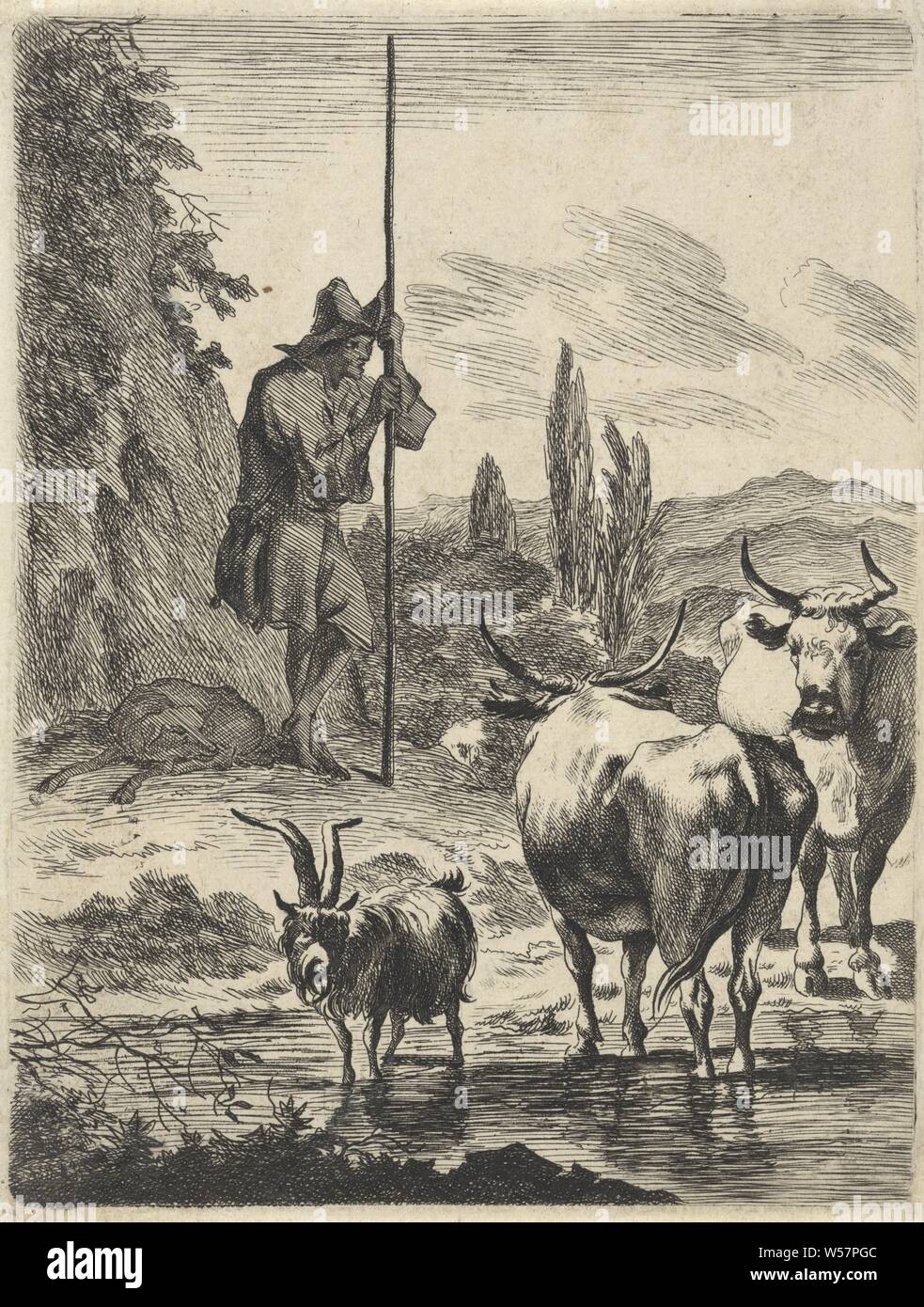 Herding stick hi-res stock photography and images - Alamy