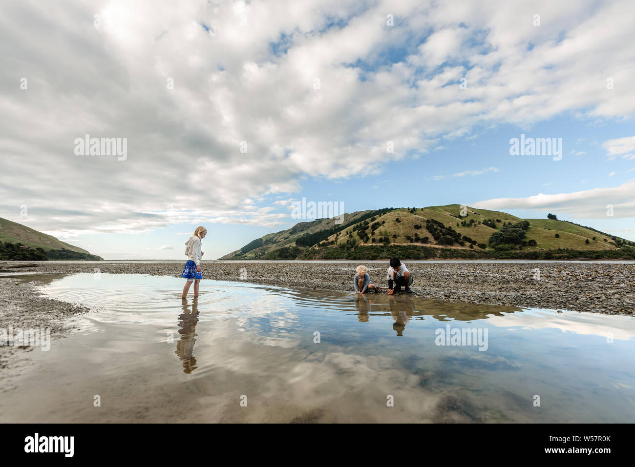 Children playing in shallow water at low tide in New Zealand Stock ...