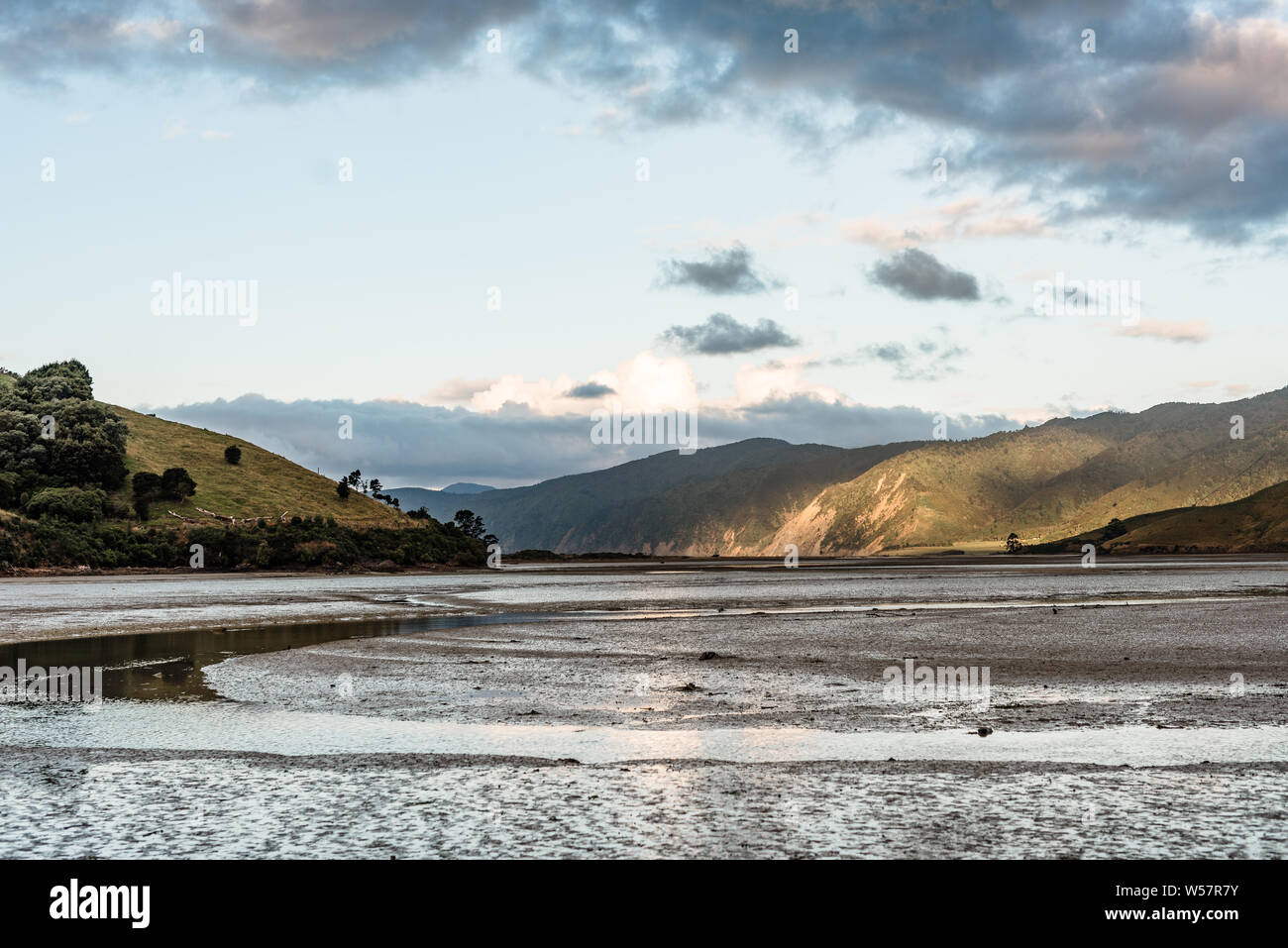 Estuary exploration hi-res stock photography and images - Alamy