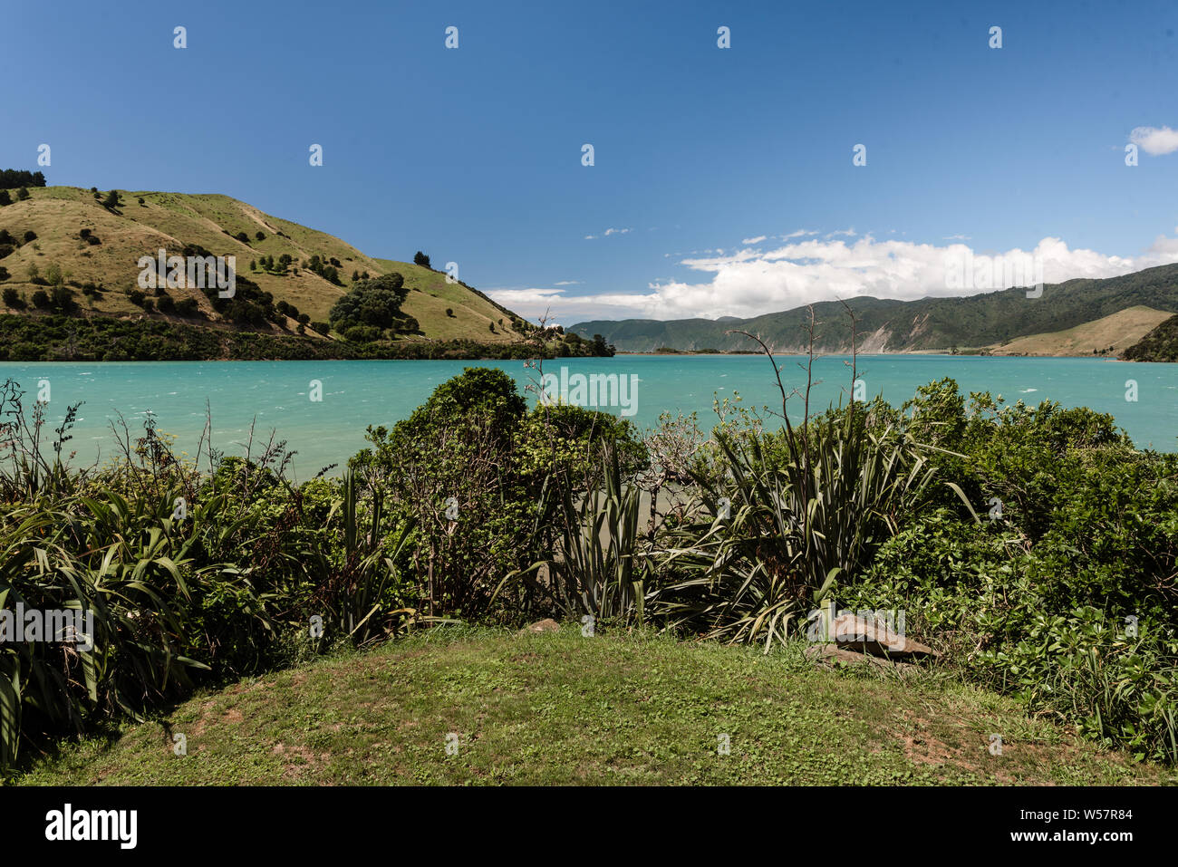 Colorful daytime view of Cable Bay, New Zealand Stock Photo - Alamy