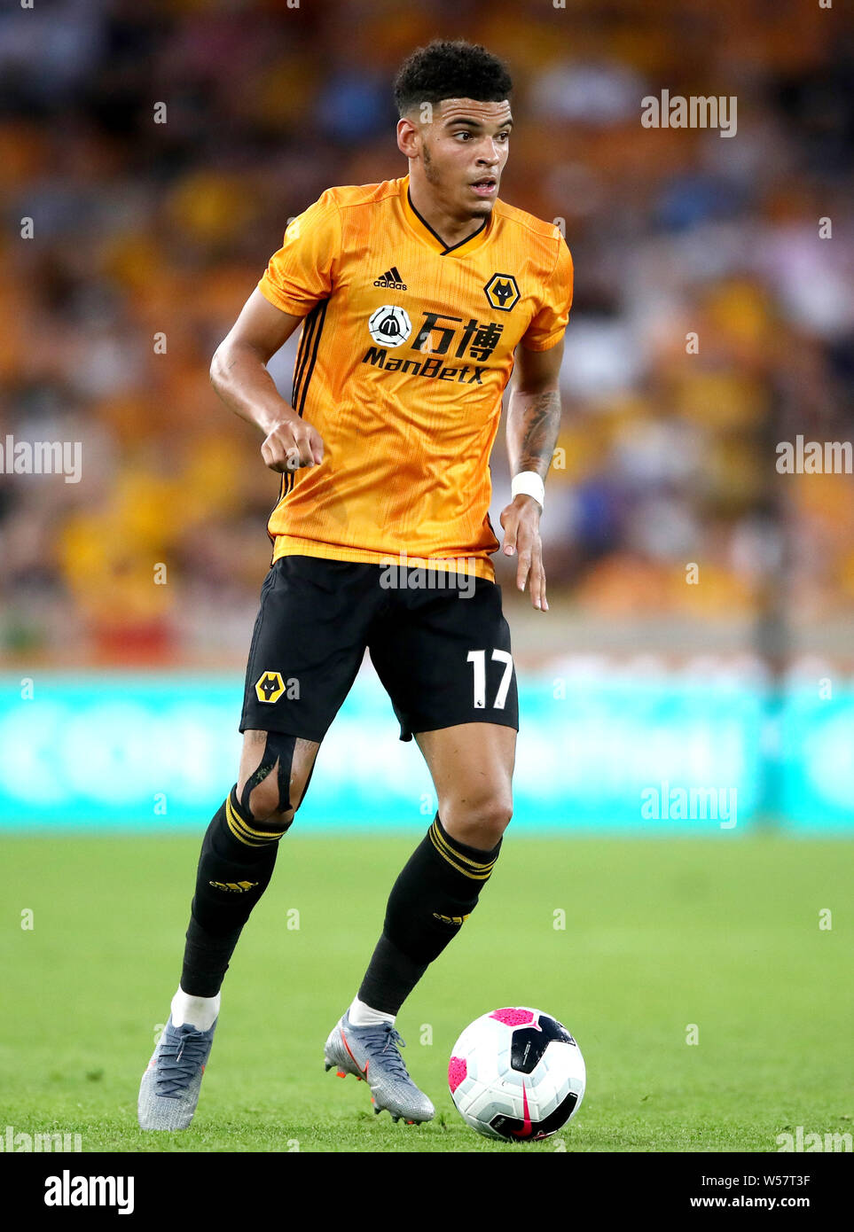 Morgan gibbs white wolves hi-res stock photography and images - Alamy
