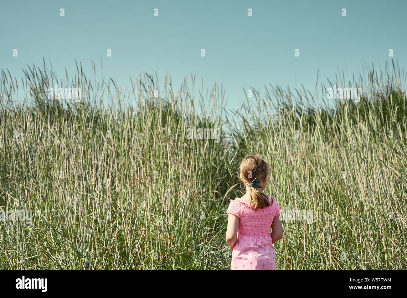 Back view of thoughtful young girl in pink dress standing among tall ...