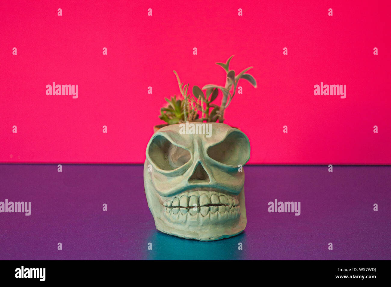 Clay skull hi-res stock photography and images - Alamy