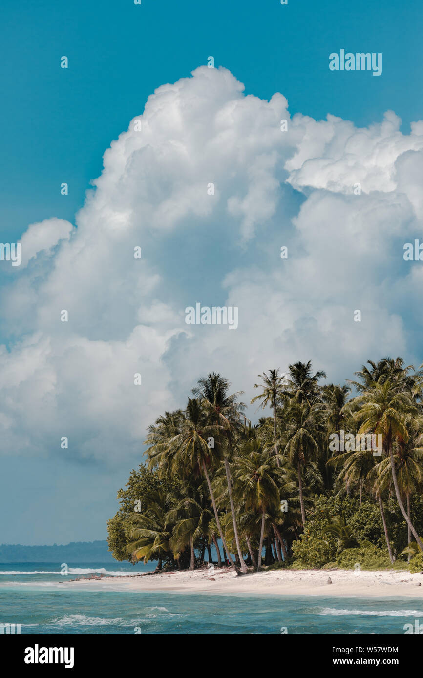 Palm trees over blue hi-res stock photography and images - Alamy