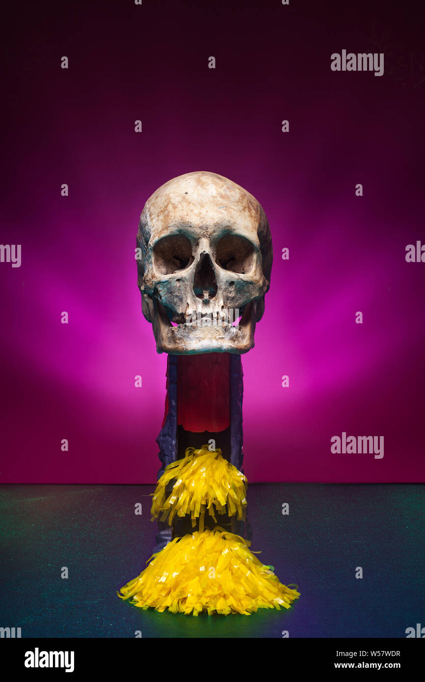 Halloween Human Skull Stock Photo - Alamy