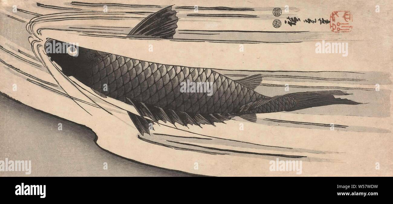 Carp swimming up a waterfall hi-res stock photography and images - Alamy