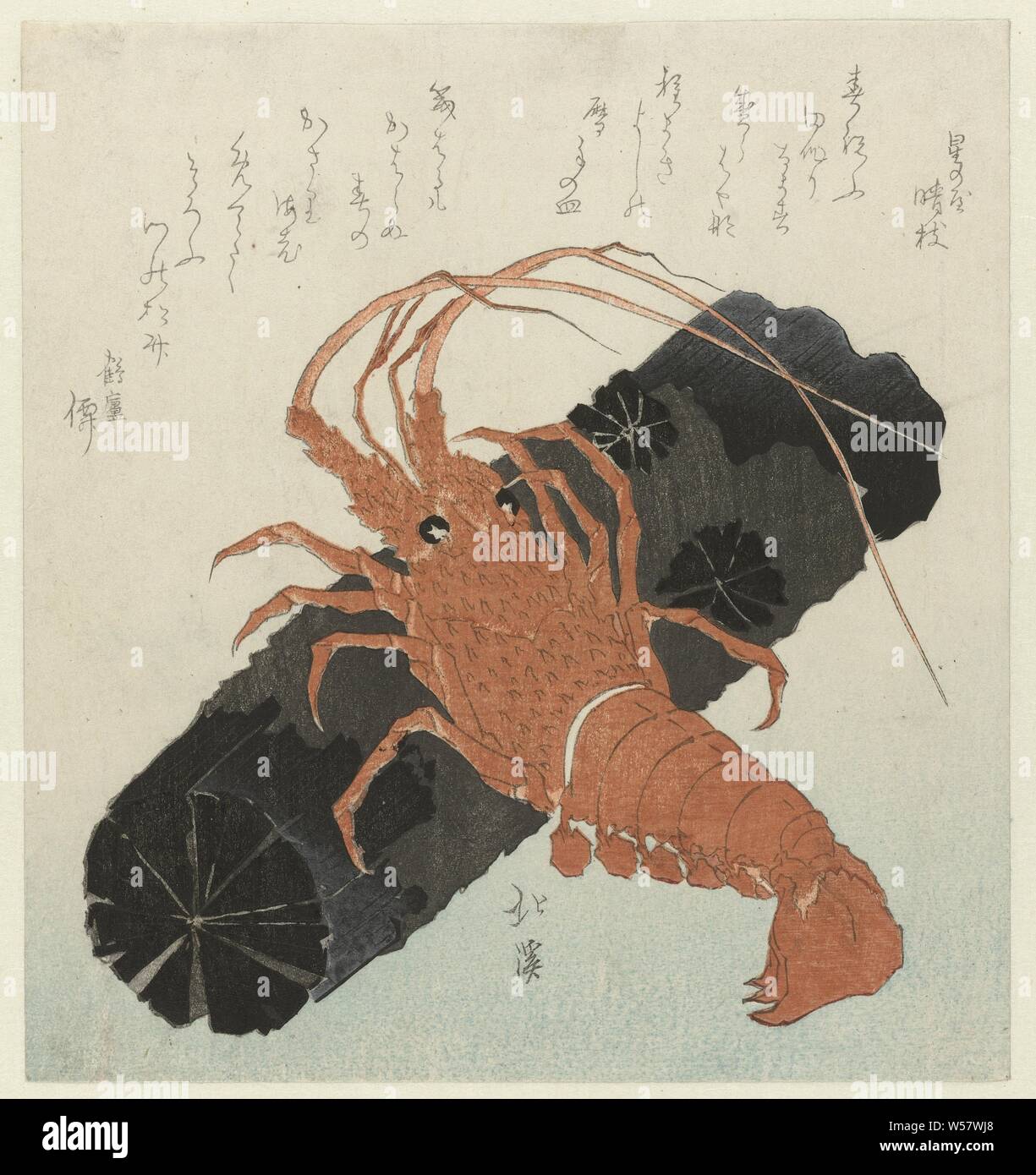 Lobster with charcoal, A red lobster climbs on a piece of charcoal ...