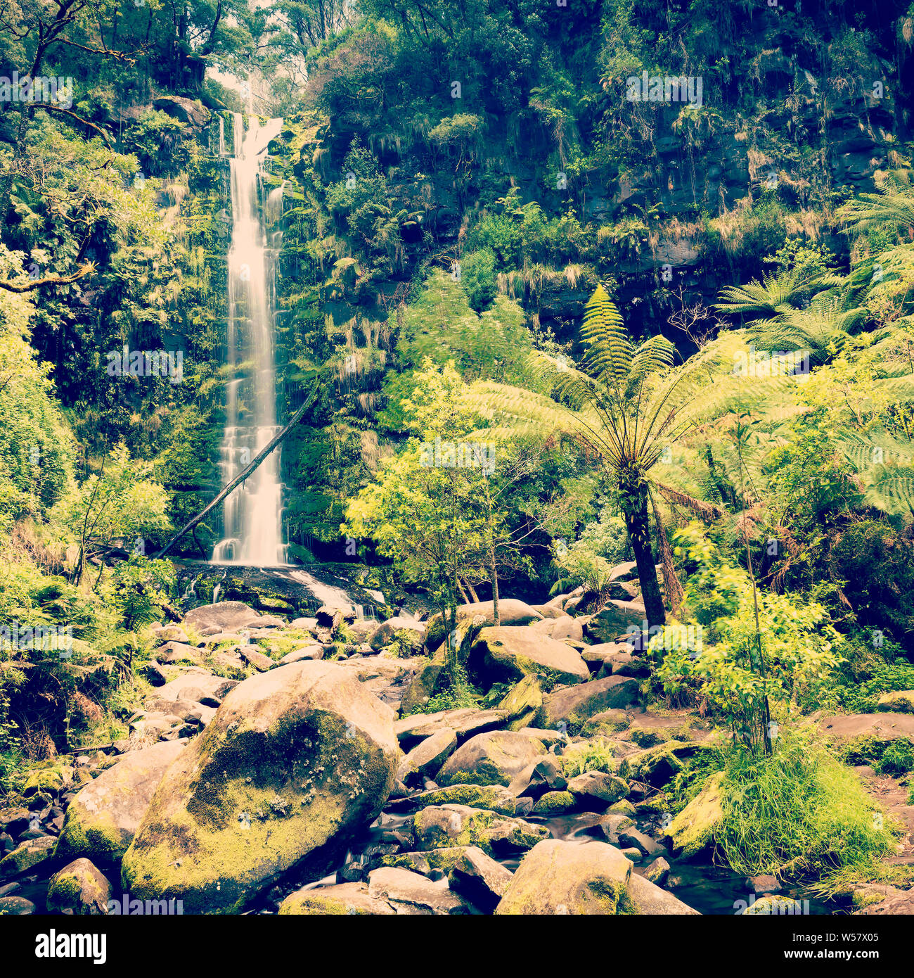 Erskine Falls waterfall in the Otways National Park along the Great ...