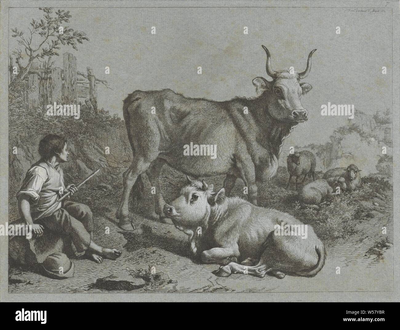 Cow shepherd scenes hi-res stock photography and images - Alamy