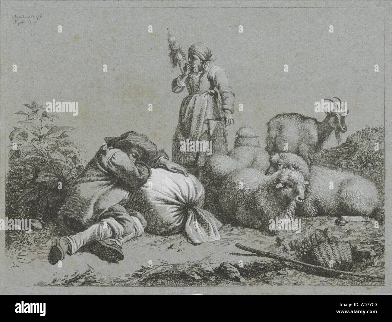 Spider goat hi-res stock photography and images - Alamy