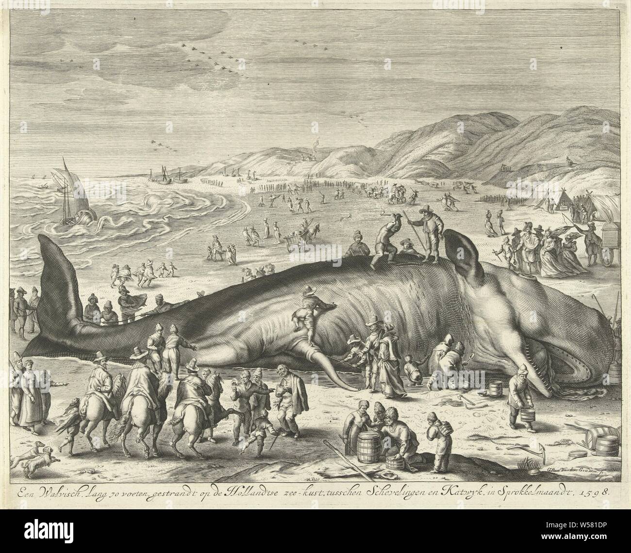 Stranded whale at Berckhey, 1598 A whale 70 feet long, stranded on the ...