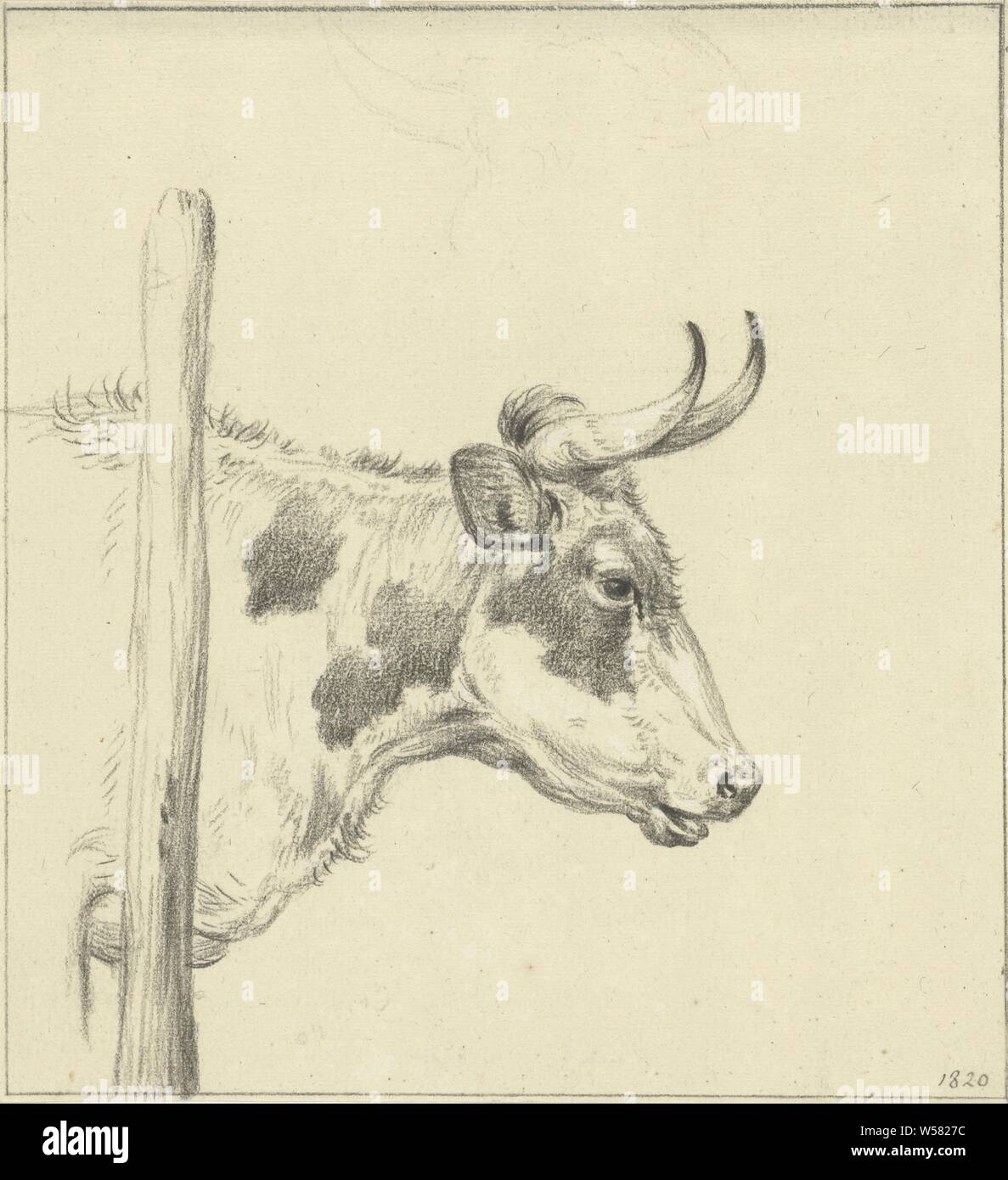 Head of a cow, to the right, cow, Jean Bernard, 1820, paper, chalk, h ...