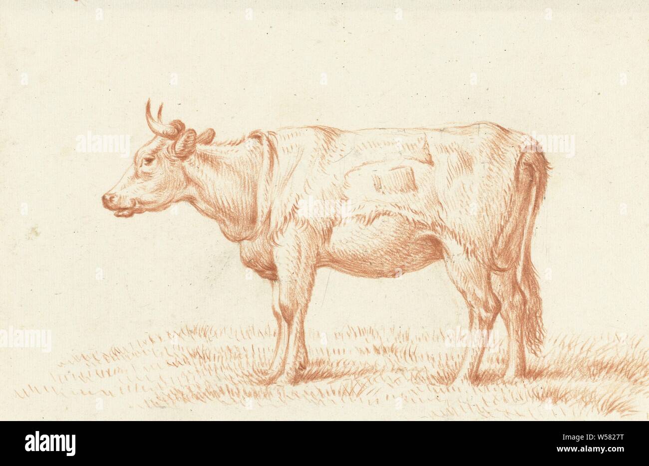 Standing cow, to the left, cow, Jean Bernard, 1775 - 1833, paper, chalk ...
