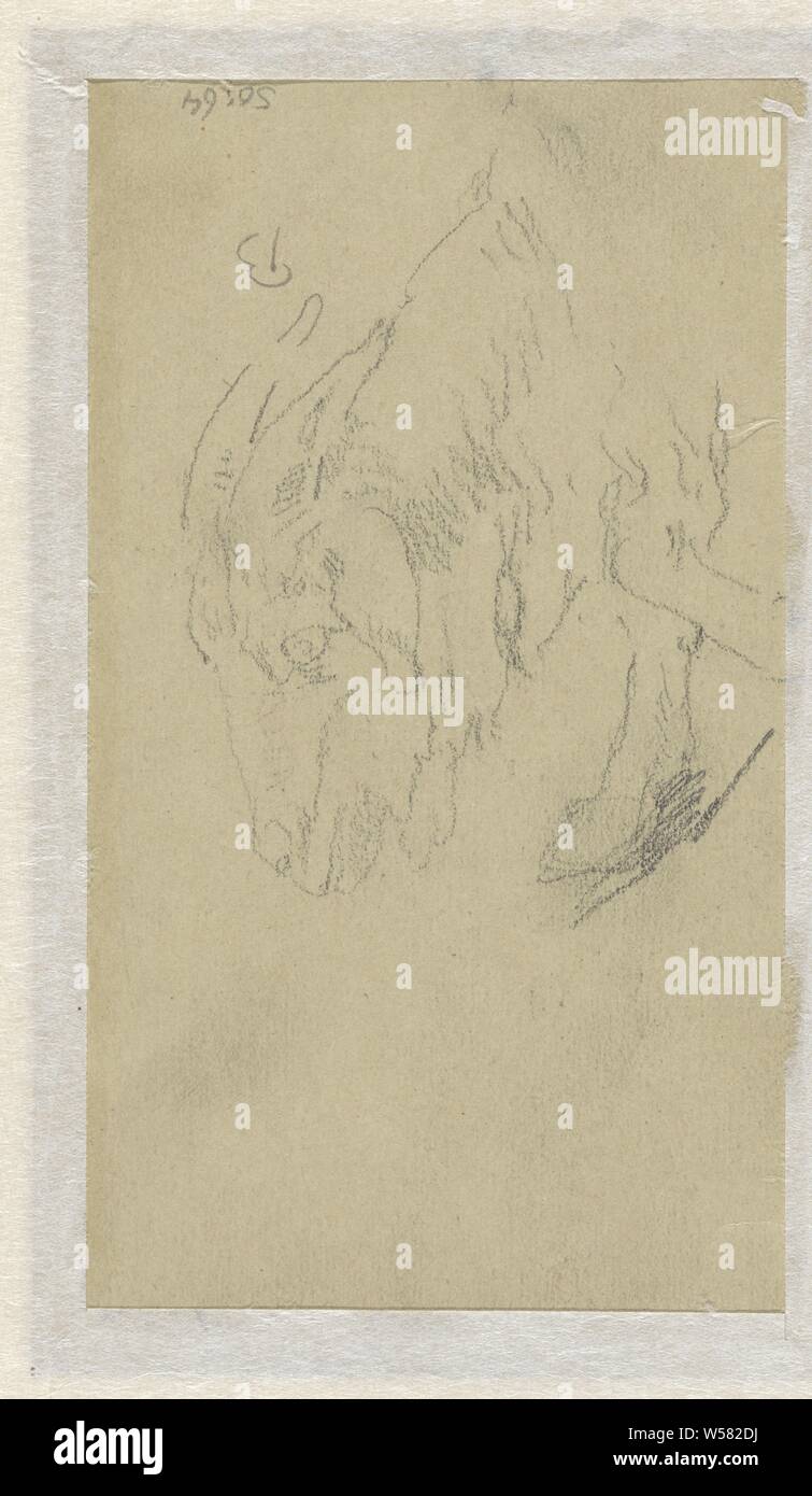 Head of a goat, Jacob Maris, 1847 - 1899, paper, pencil, h 125 mm × w ...