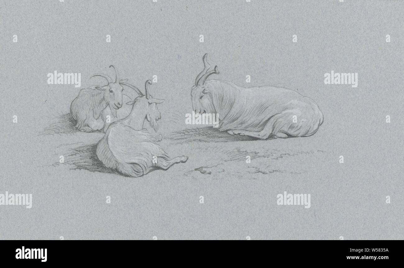 Three lying goats, Drawing from a group of drawings of landscapes and ...