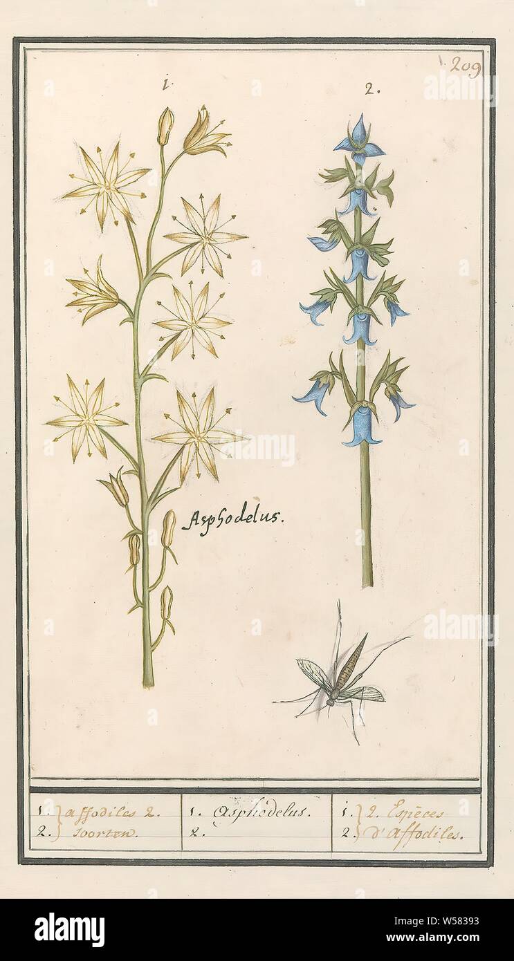 Bell 209 hi-res stock photography and images - Alamy