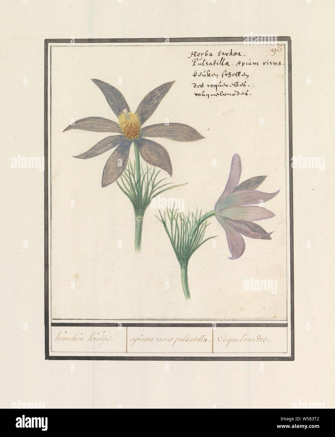 1610 90 hi-res stock photography and images - Alamy