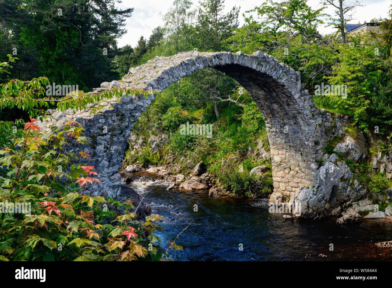 Old Packhorse Bridge in Carrbridge, Scotland, built in 1717. It is the ...