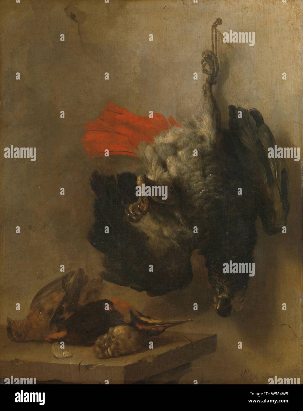 Dead parrot hi-res stock photography and images - Alamy