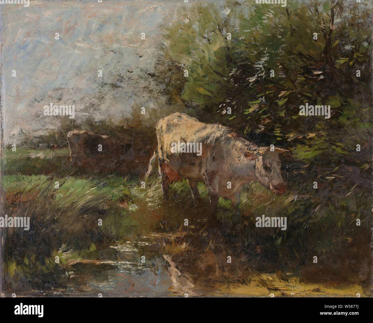 Waterfront two cows hi-res stock photography and images - Alamy