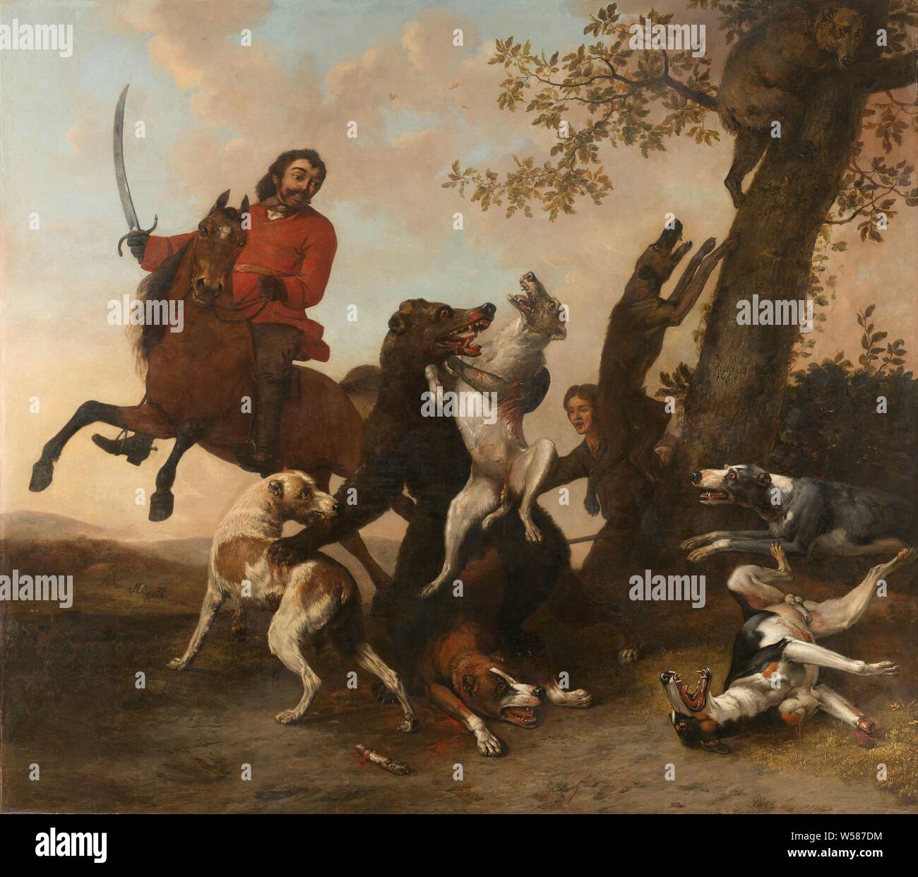 Bear fight dogs hi-res stock photography and images - Alamy