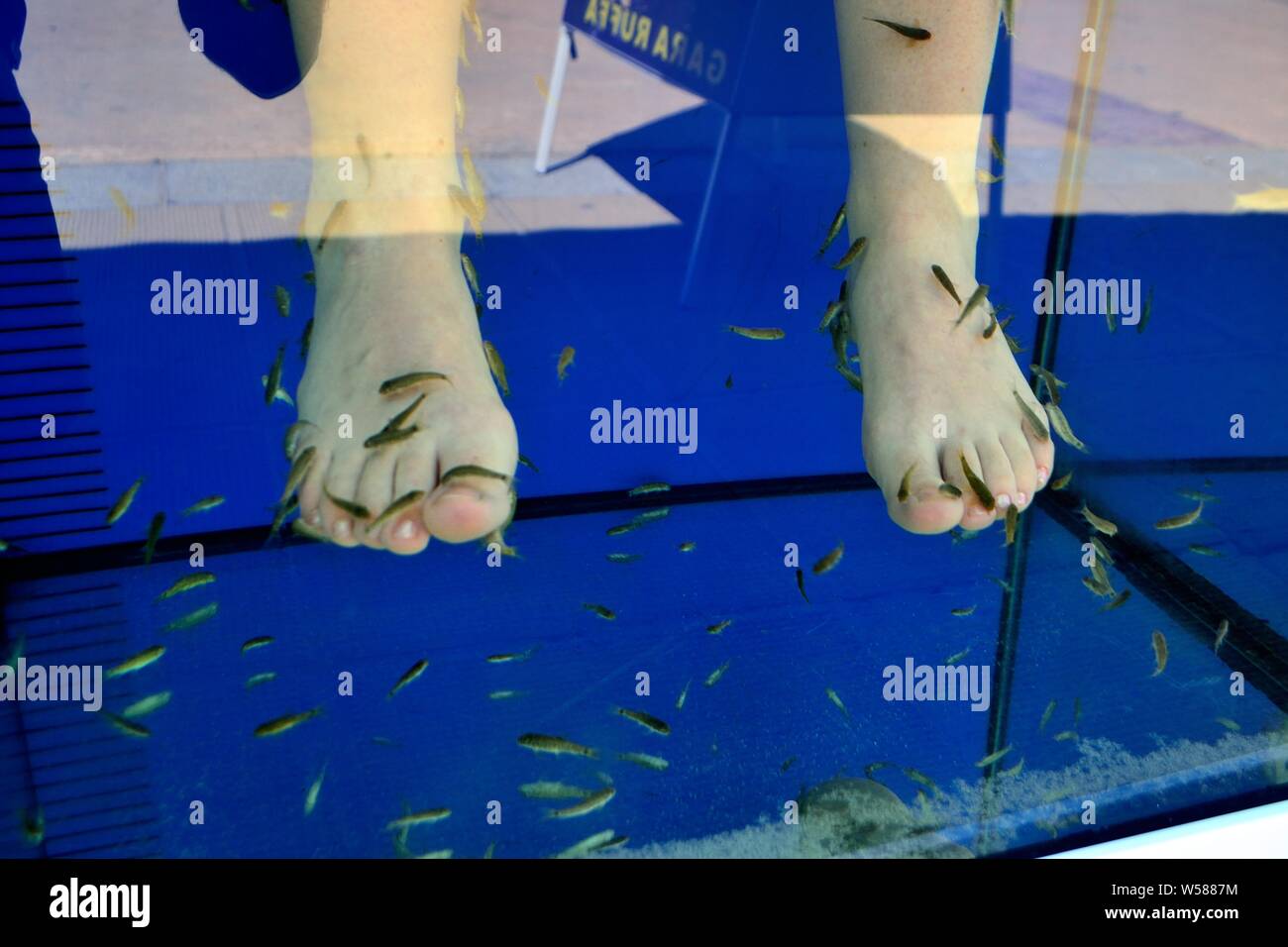 Foot cleaning with fish in SUNNY BEACH - Black Sea - BULGARIA Stock ...