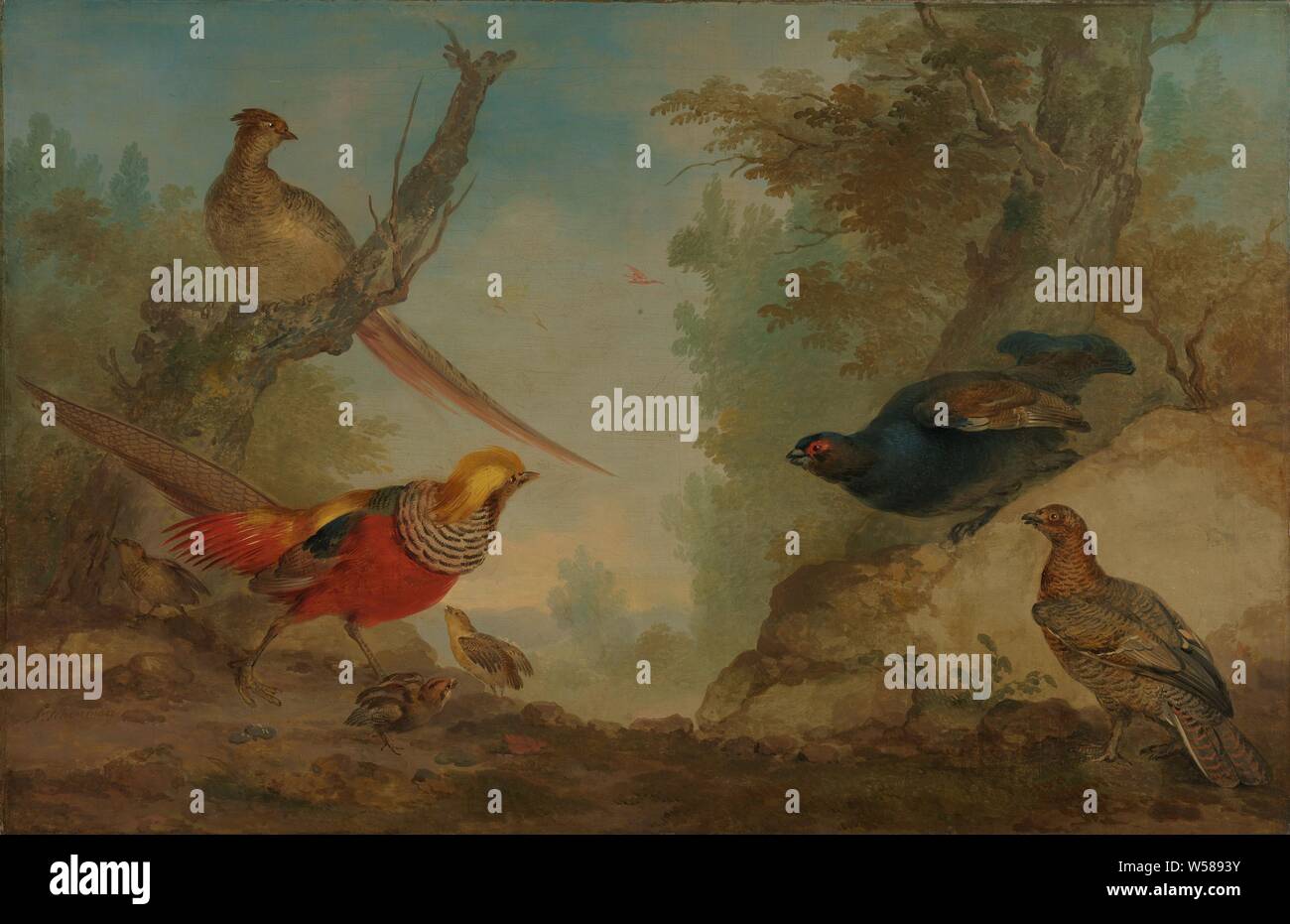 Pheasants paint hi-res stock photography and images - Alamy