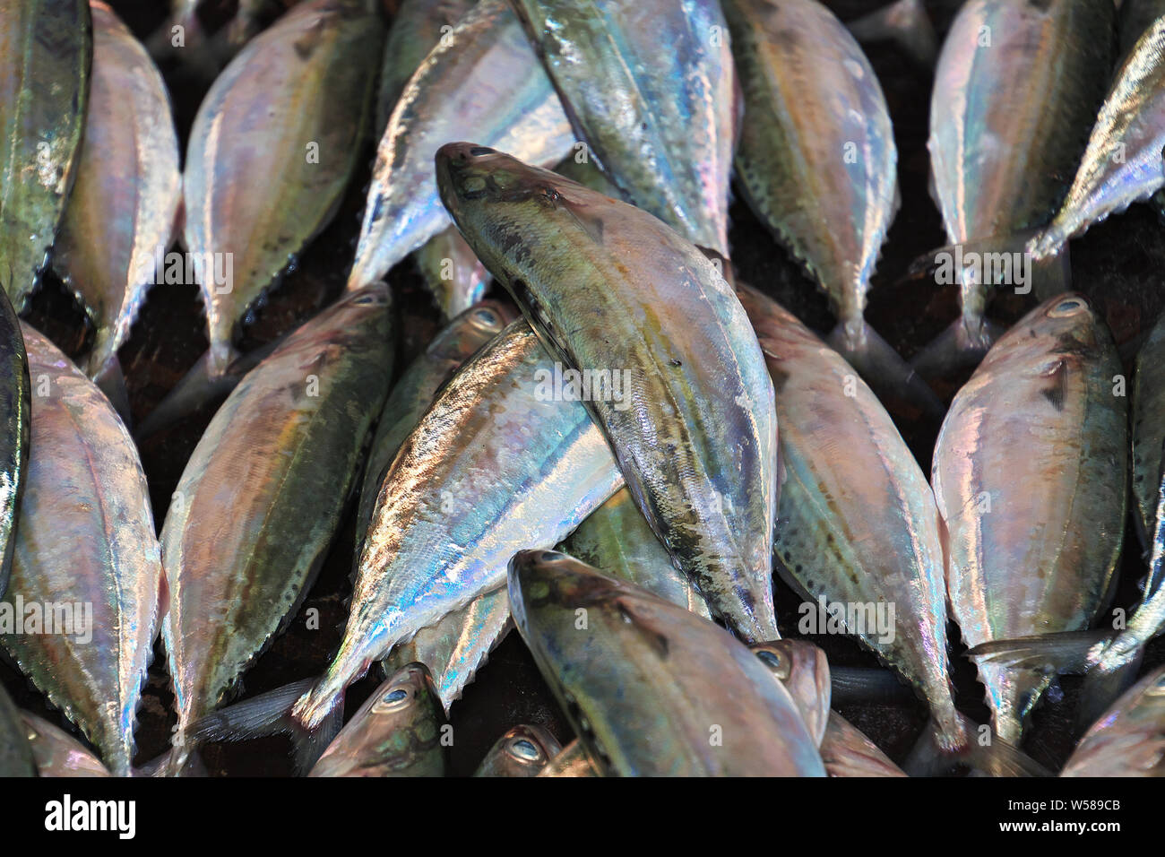 Aerial view fish market africa hi-res stock photography and images - Alamy