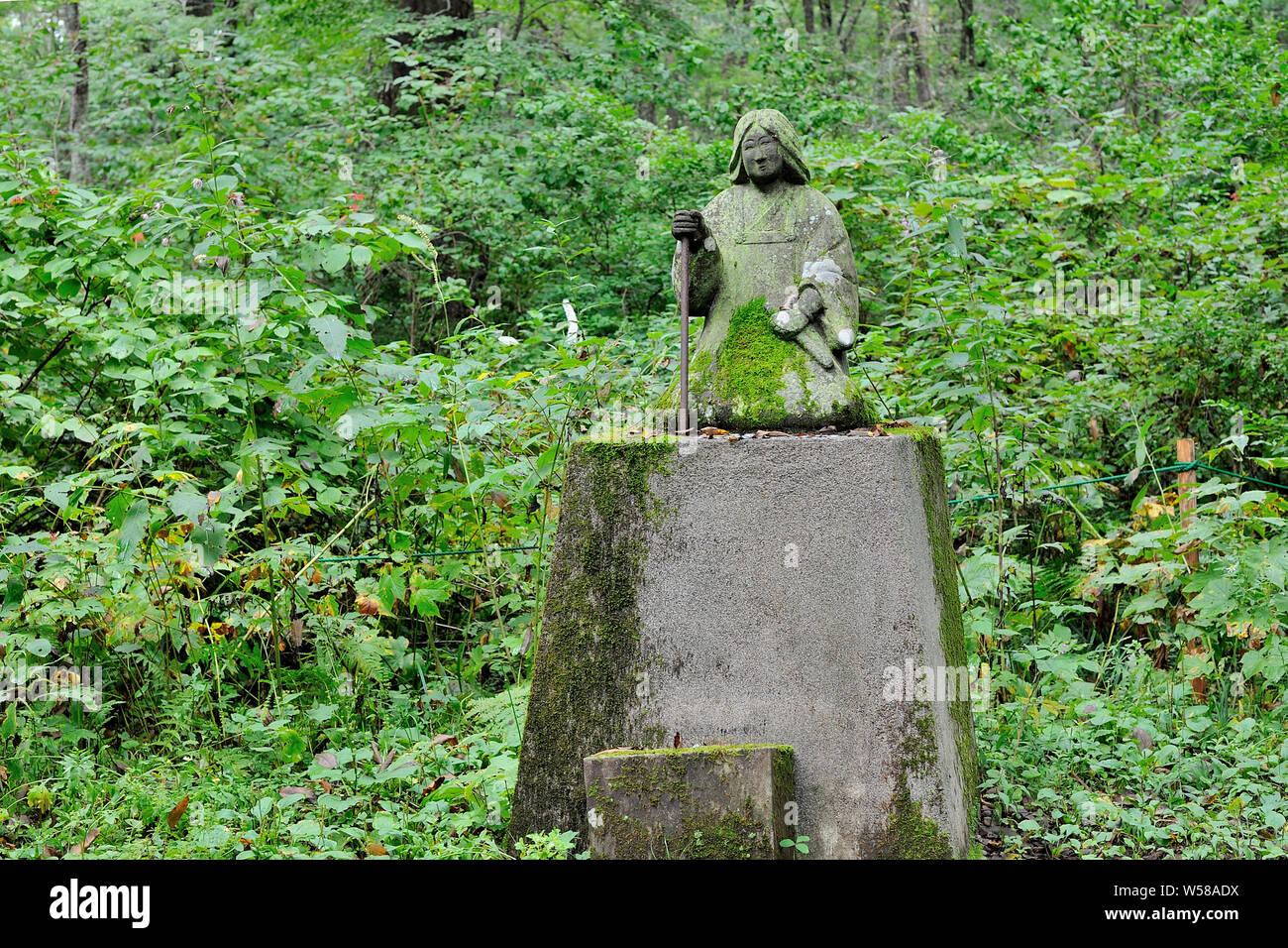 Togakushi kagami ike trail hi-res stock photography and images - Alamy